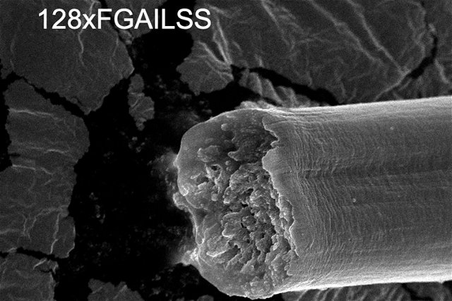 Microbially Produced Artificial Amyloid Silk Hybrid Protein Fiber Is microbially-produced-artificial-amyloid-silk-hybrid-protein-fiber-is